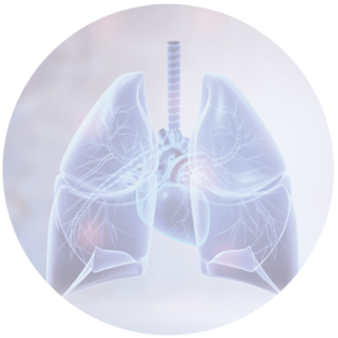 bronchial challenge test provocholine and aridol - Methapharm Specialty ...